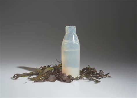 Agari Bottle — Iua Product Design