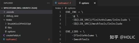 Openfoam在vs Code下的debug模式调试 知乎 Openfoam在vs Code下的debug模式调试 知乎