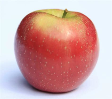 Create A Which Apple Good Which Apple Bad Tier List Tiermaker