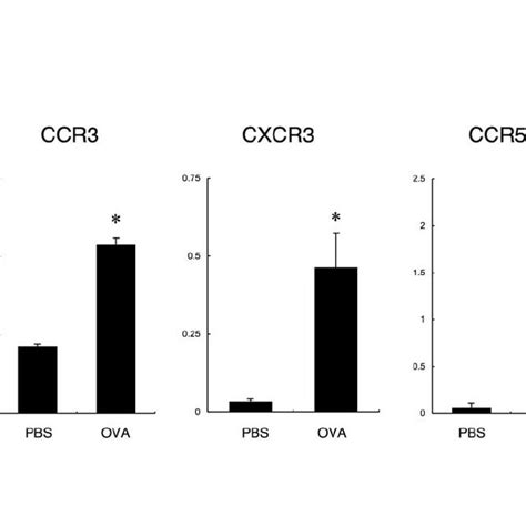 Ccr3 Ccr5 And Cxcr3 Mrna Expression Measured By Quantitative Download Scientific Diagram