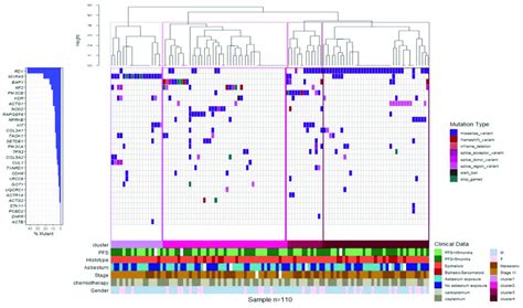 Gene Expression Based Clustering Shows Four Molecular Subgroups Download Scientific Diagram