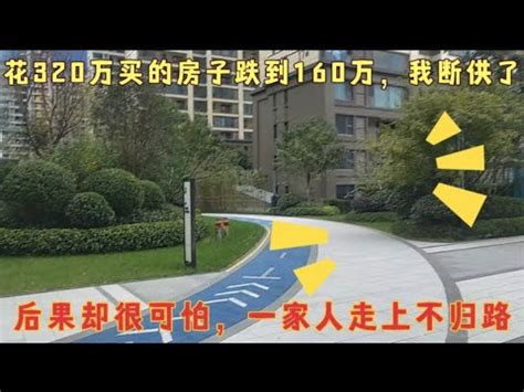 320万买的房子跌到160万我断供了从此一家人走上了不归路 YouTube