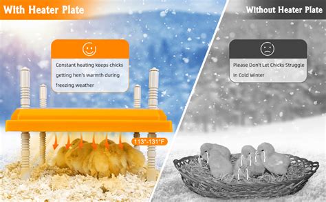 Brooder Heater For Chicks Chick Brooder Heating Plate With Easy Cleaning Plate Poultry Coop