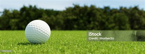 페어웨이 녹색 배경의 잔디에 골프 공 복사 공간이있는 광고를위한 배너 스포츠 및 운동 개념 3d 그림 렌더링 골프에 대한 스톡