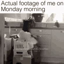 Funny Monday Morning S Tenor