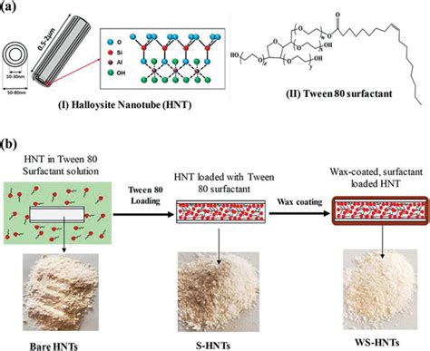 A Chemical Structure Of Halloysite Nanotubes And Tween 80 Surfactant