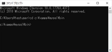 【前置きなし】xampp Mysql（mariadb）のrootパスワード設定方法 Windows10 【2019年4月版