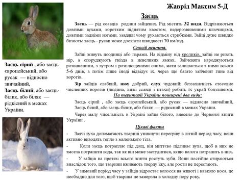 Рослини тварини і гриби рідного краю Online Presentation