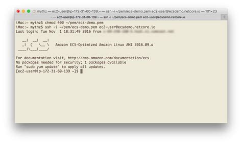Deploy Net Core With Docker To Ec2 Container Service