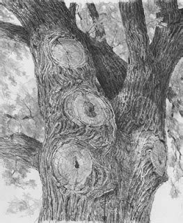 Diane Wright Art Journal Tree Bark