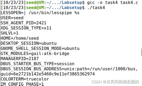 网络攻防 环境变量与set uid setuid后环境变量怎么传递 csdn博客