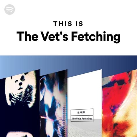 This Is The Vets Fetching Spotify Playlist