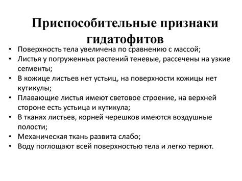Экологические группы растений Бурятии по отношению к воде презентация онлайн