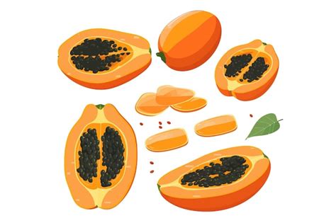 잘라 파파야 반 평면 벡터 일러스트 레이 션 흰색 배경에 고립 프리미엄 벡터