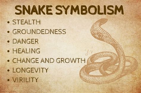 Snake Spirit Animal What Does A Snake Symbolize