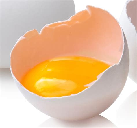 About Egg Yolk Lecithin