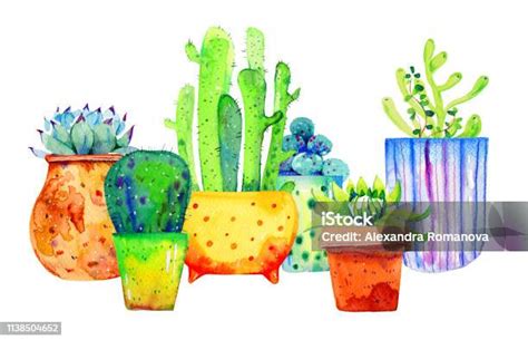다른 선인장 다 육 식물 화분에 있는 그림 수채화 손으로 그린 컬러 스케치 가정 생활에 대한 스톡 벡터 아트 및 기타 이미지 가정 생활 개체 그룹 그리기 Istock
