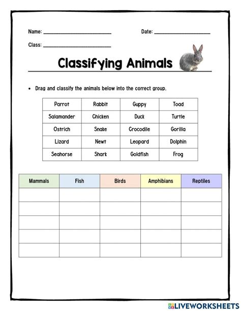 classifying