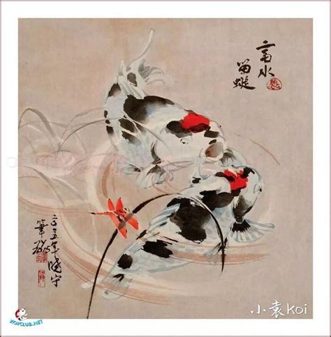 幾度高考幾度風雨西安小袁祝廣大考生鯉躍龍門特奉上官鯉 每日頭條