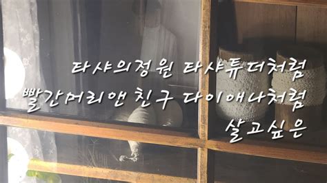 레트로 빈티지감성 앤틱골동품민속품수집 타샤의정원 타샤튜더처럼 빨간머리앤 친구 다이애나처럼 살고싶은 전북 부안 내소사가는길에 부안타샤아저씨의 인사동고갤러리 린넨옷가게