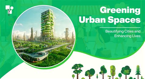 Greening Urban Spaces Beautifying Cities And Enhancing Lives Treewards