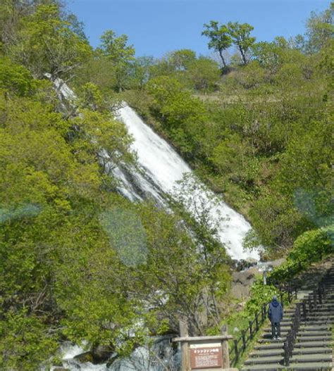 世界自然遺産知床を行く～知床五湖とウトロクルーズ～