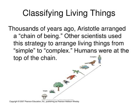 Ppt Classifying Living Things Powerpoint Presentation Free Download