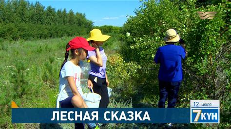 Лесная сказка - YouTube