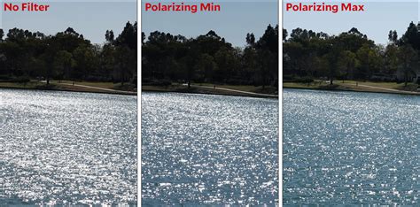 Polarizing Filter For Wildlife Photography At Carl Krouse Blog