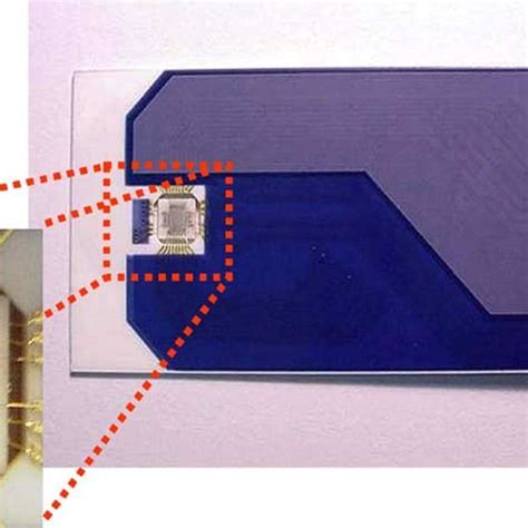 16 Sensor Segment Gradient Microarray 35 Mm × 3 Mm On Alumina