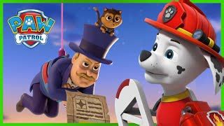 Pups Save The Lost Penguin Full Episode Season 11 Cartoons For
