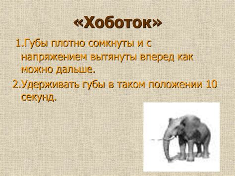 Индивидуальное логопедическое занятие Постановка звука Ш презентация онлайн