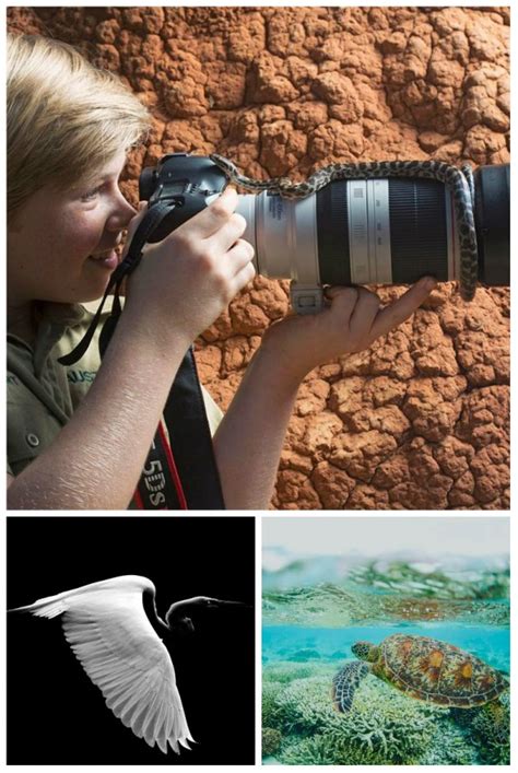 Арван гурван настай бяцхан хүү ШИЛДЭГ ЗУРАГЧНААР шалгарчээ