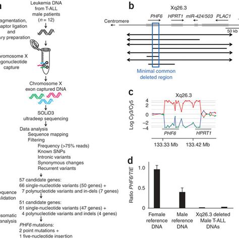 Next Generation Sequencing And Microarray Based Comparative Genomic