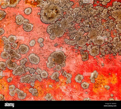 Rust Spot Background Stock Photo Alamy