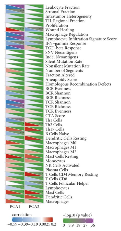 Construction Of Immune Landscape Within Tcga Prad Dataset A The
