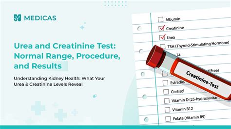Urea And Creatinine Test Ranges Procedure And Results