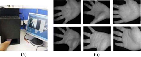 Palmprint Image Scan Of ”casia Palmprint” Dataset A The Capture System
