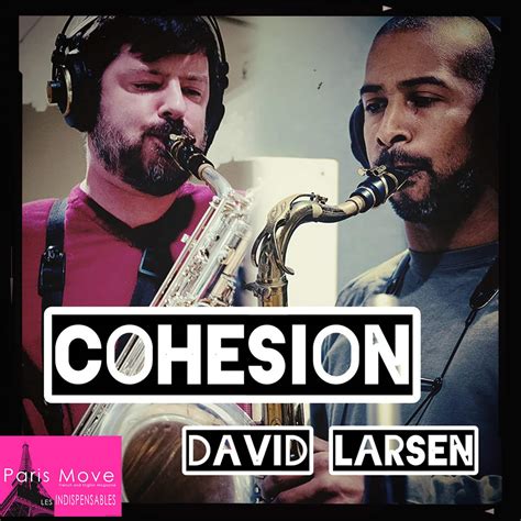 David Larsen Cohesion Eng Review Paris Move