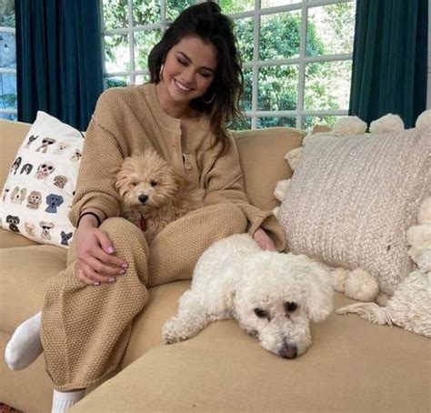 نژاد سگ سلنا گومز اسم و حقایت جالب در مورد او Happypet