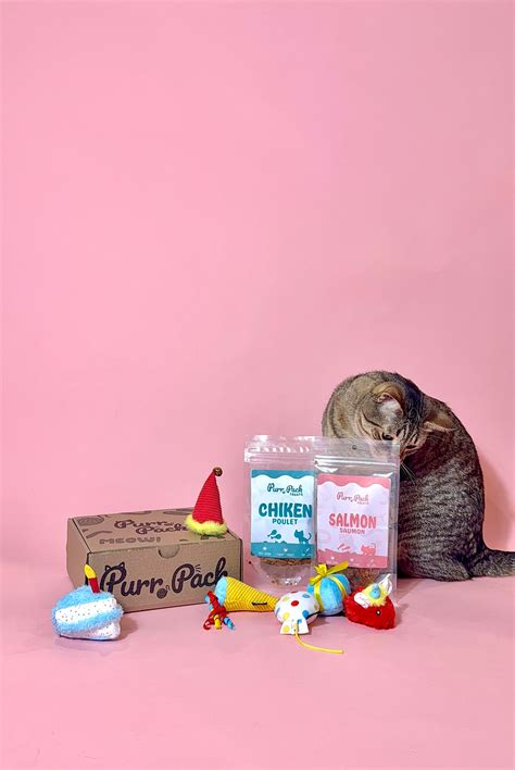 Purr Pack Cat Subscription Box Cat Toys Treats And Fun Delivered