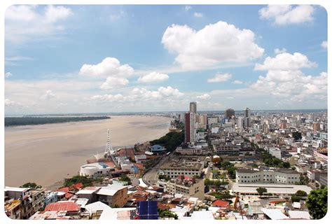 How Iguanas Saved Guayaquil For Me
