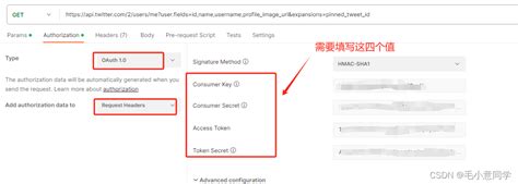 java代码调用twitter api用例实战 twitter api csdn博客