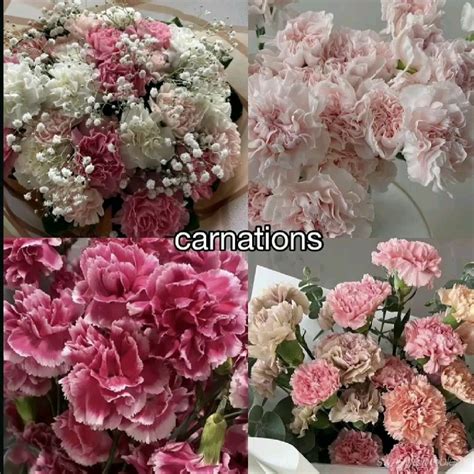 White Pink And Blue Carnations Pink Carnations Bouquet Types Of