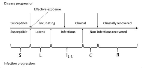 Schematic Of Foot And Mouth Disease Fmd Infection And Clinical