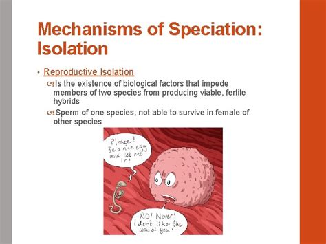 Unit 10 Speciation 10 1 Speciation Species A