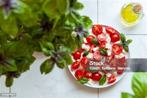 바질 식물 아래 카프레세 샐러드의 일부 가정 원예의 개념 0명에 대한 스톡 사진 및 기타 이미지 0명 가정 주방 가정의 방 Istock