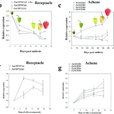 Expression Of Genes Involved In Aba Biosynthesis And Catabolism In