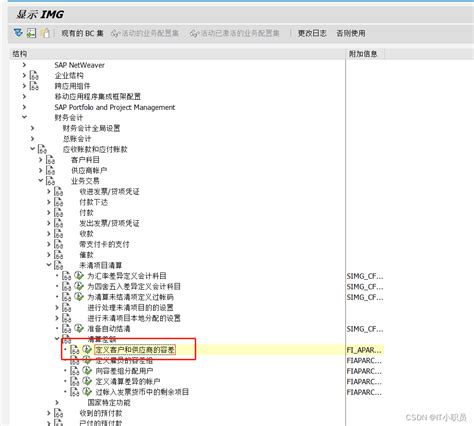 Sap S4 Fi后台详细配置教程 Part5 （应收帐目和应付帐目配置篇）sap 发票应付账款设置 Csdn博客
