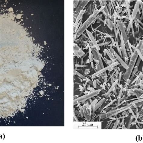 Morphologies Of Wf At Different Scales A Macro Morphology B Micro
